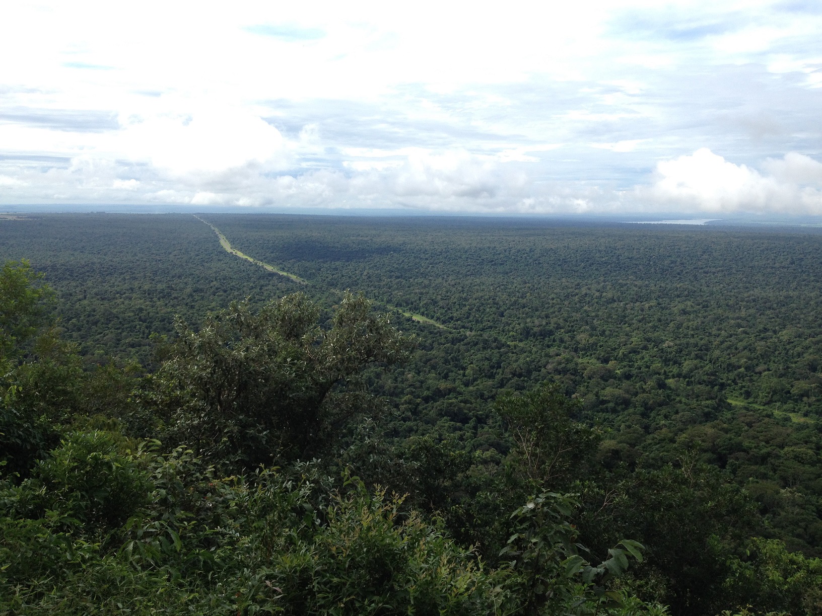 Conservation of endangered species, Brazil | Whitley Award