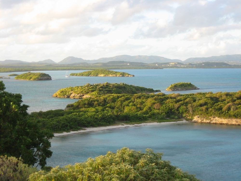 The Antiguan Racer Snake Conservation Project | Whitley Award