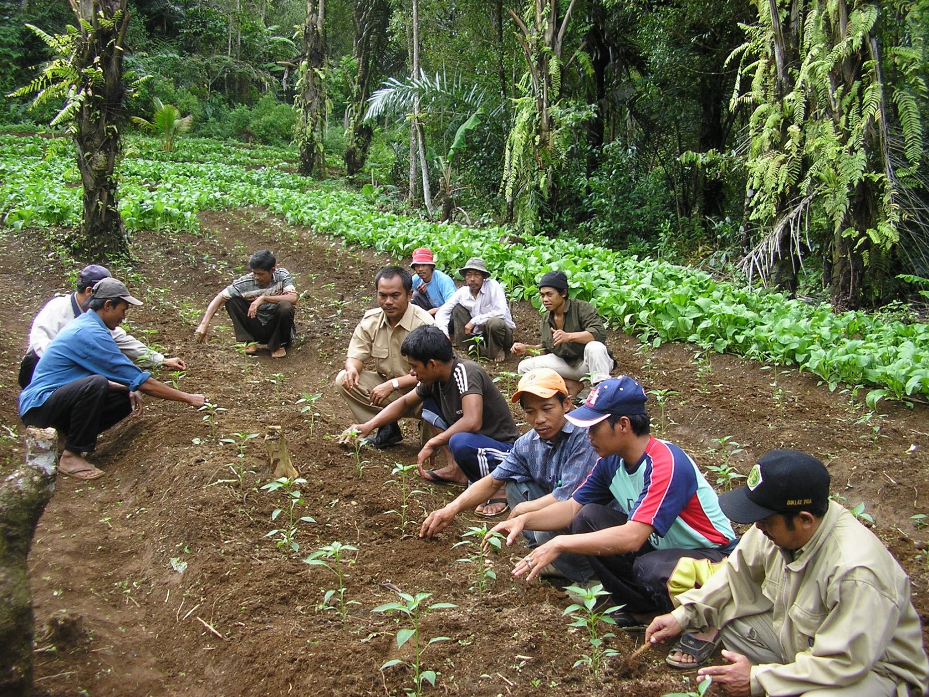 A model for sustainable development, Indonesia | Whitley Award