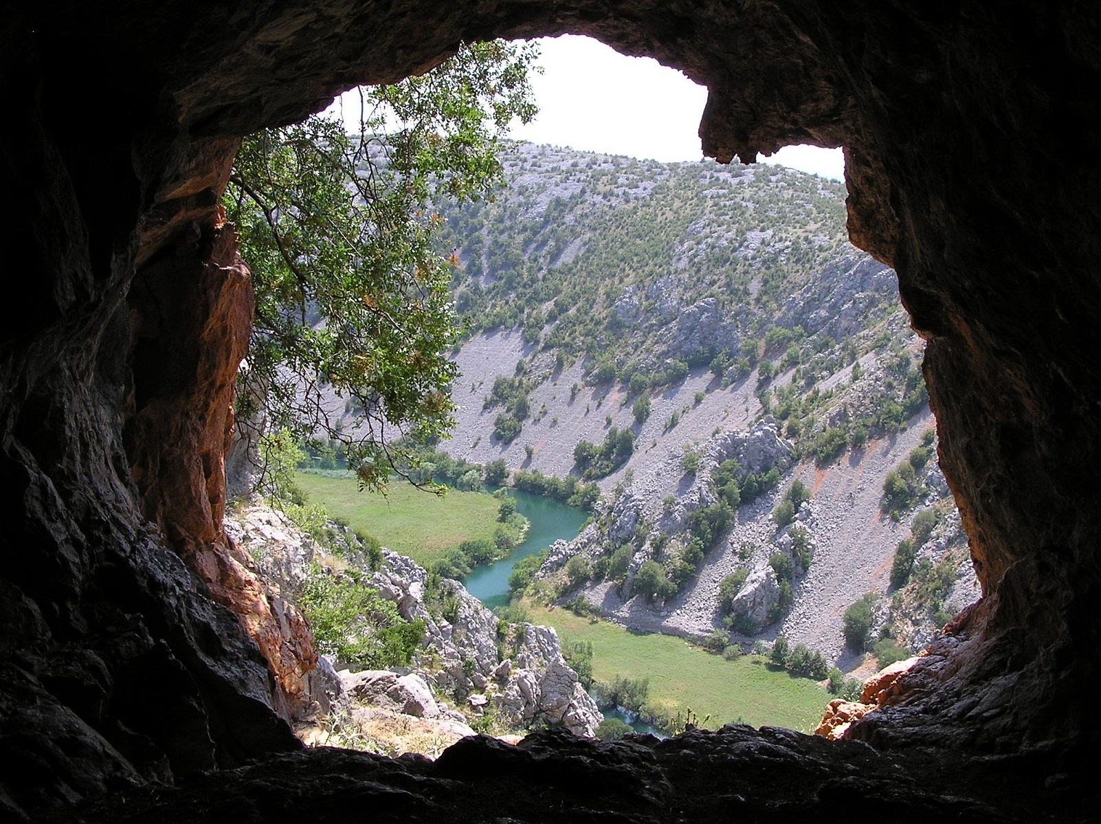 Conservation of the Longfingered Bat, Croatia | Whitley Award
