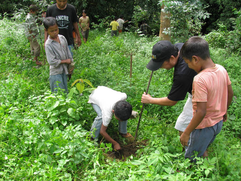 Monitoring of elephant poaching and ivory trade, India and Asia ...