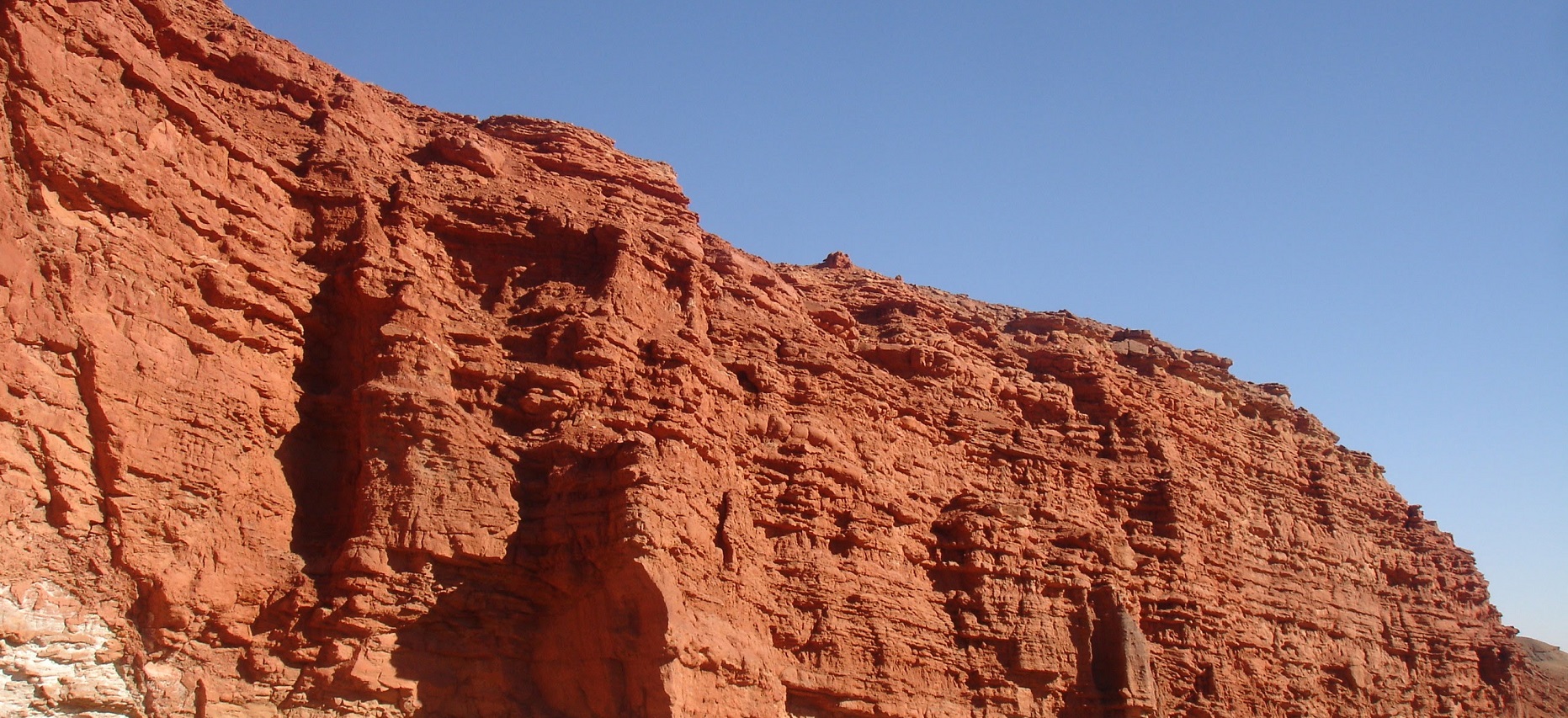 Sustainable resource use in the Gobi Desert, Mongolia | Whitley Award