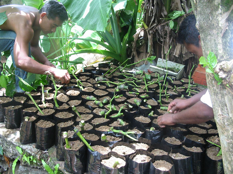 Our Island, Our Future, Micronesia | Whitley Award