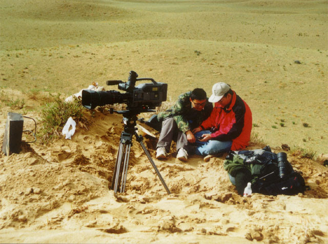 Conservation of the Przewalski’s gazelle at Qinghai Lake, China ...