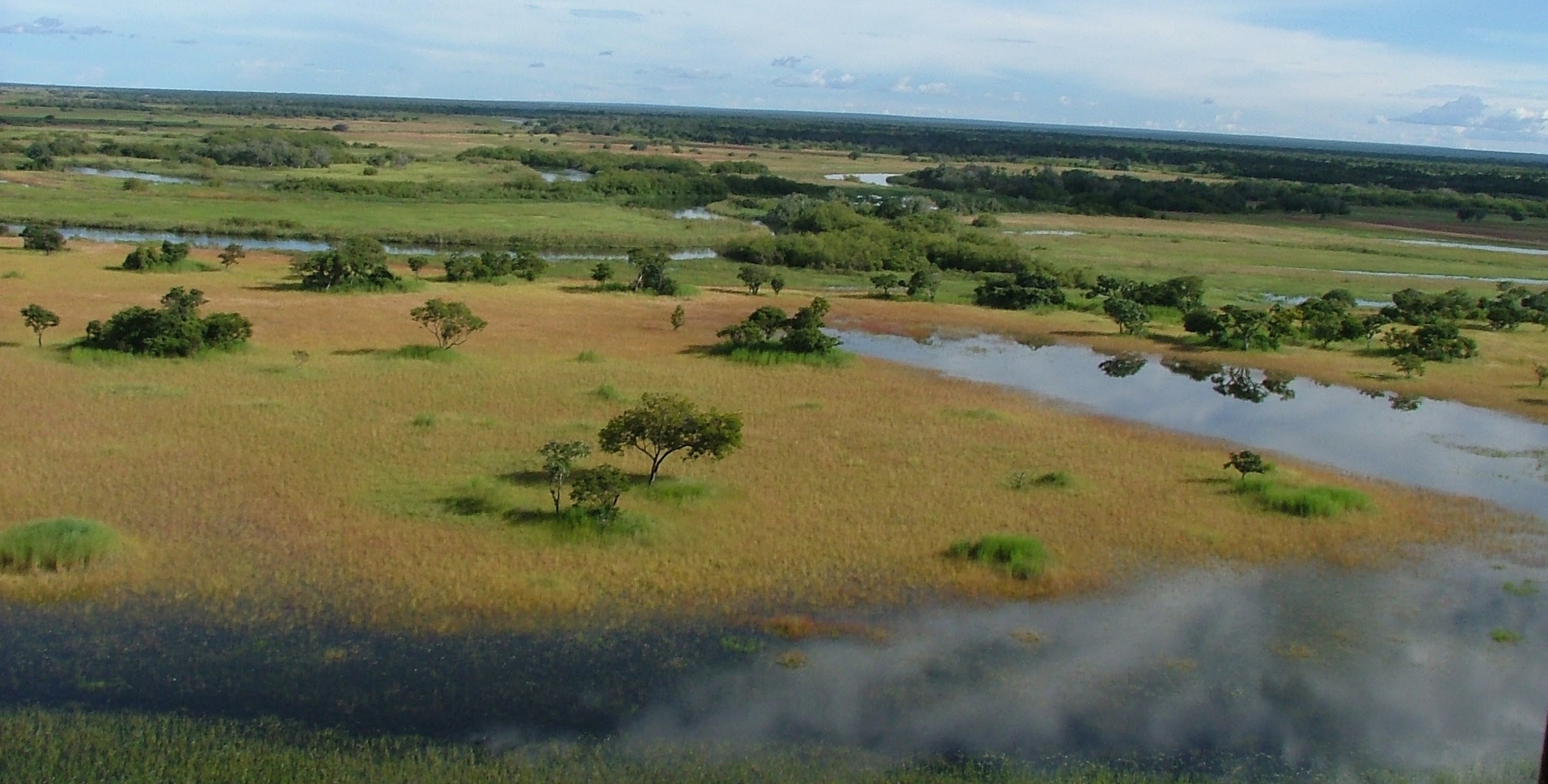 Giant Sable Antelope, Malanje Province, Angola | Whitley Award