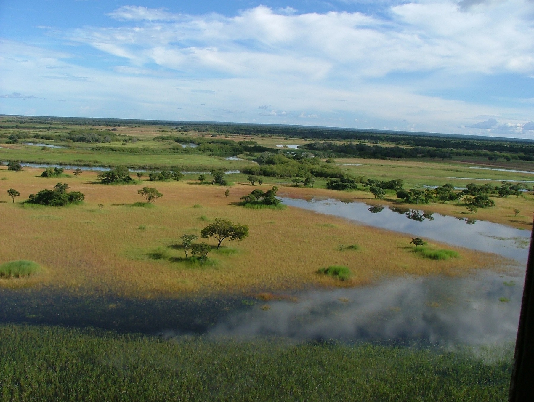 Giant Sable Antelope, Malanje Province, Angola | Whitley Award