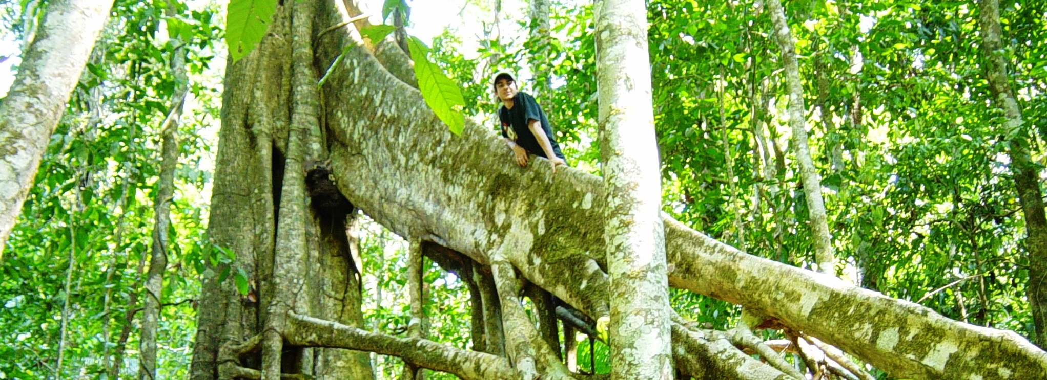 Education for Conservation on the Amazon Frontier, Brazil | Whitley Award