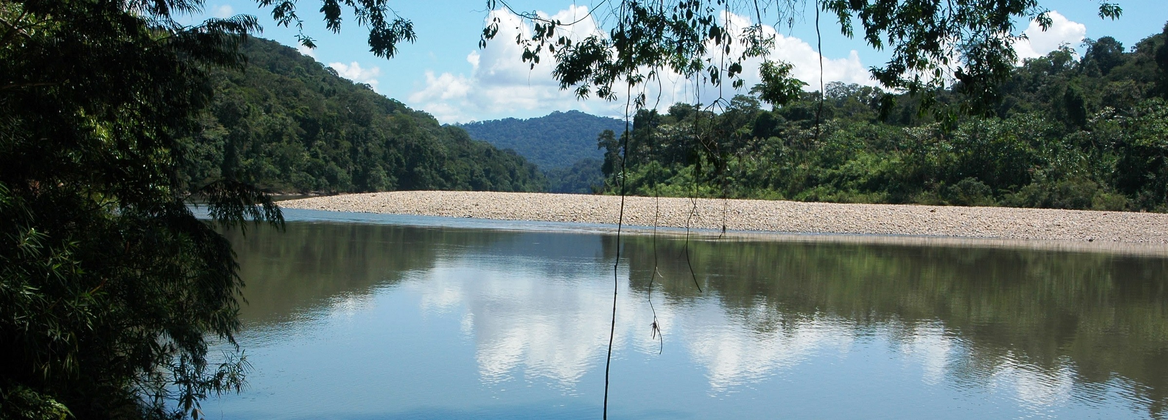 Conservation of Amazonian headwaters, Tambopata River, Peru | Whitley Award