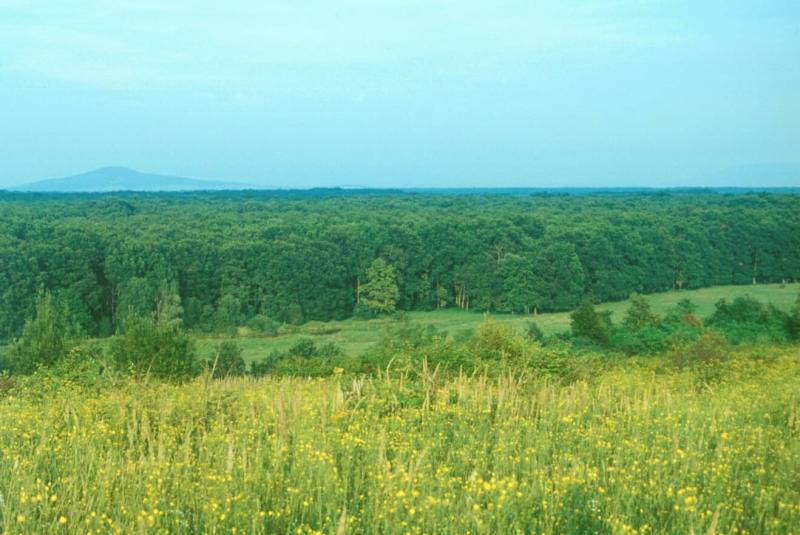 Building capacity for effective conservation, Ukraine | Whitley Award