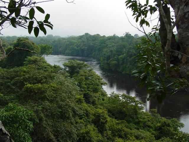 Education for Conservation on the Amazon Frontier, Brazil | Whitley Award