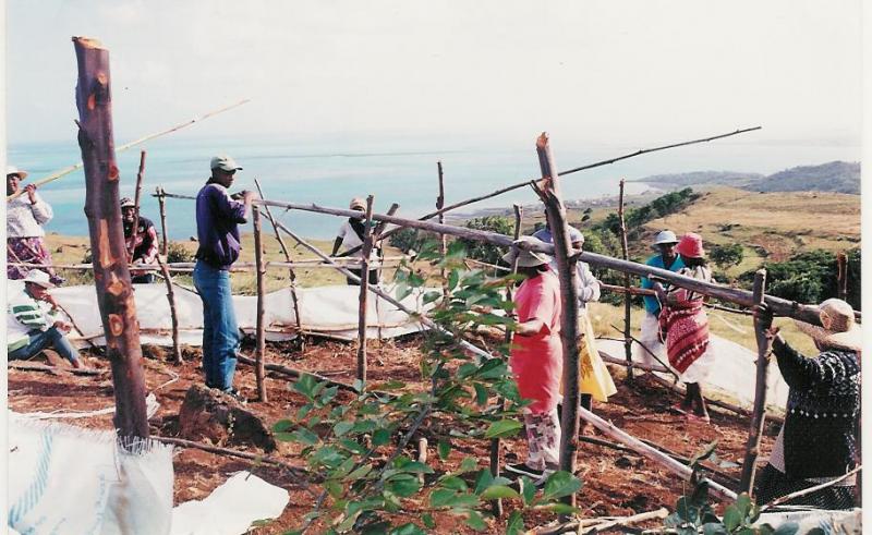 Community restoration of native forests of Rodrigues, Mauritius