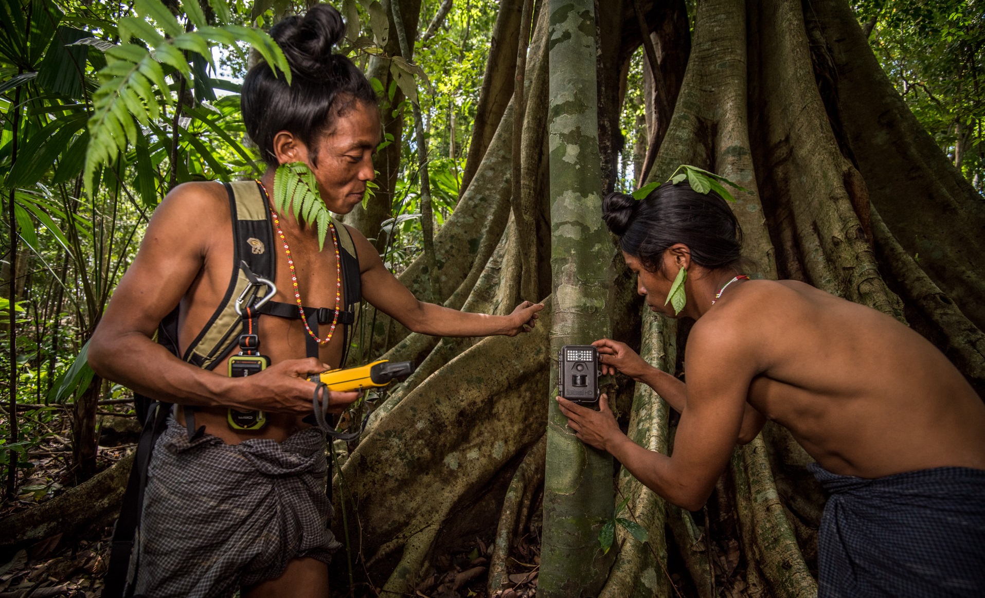 Tortoises in trouble: community conservation of Asia’s largest tortoise ...