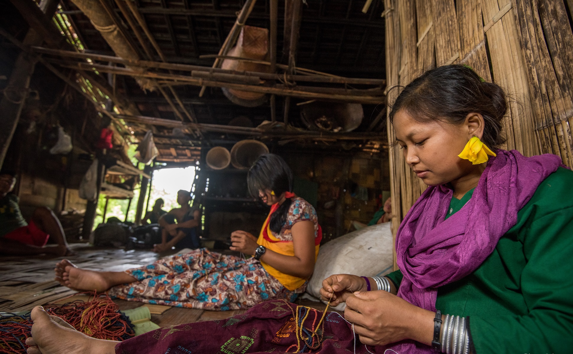 Tortoises in trouble: community conservation of Asia’s largest tortoise ...