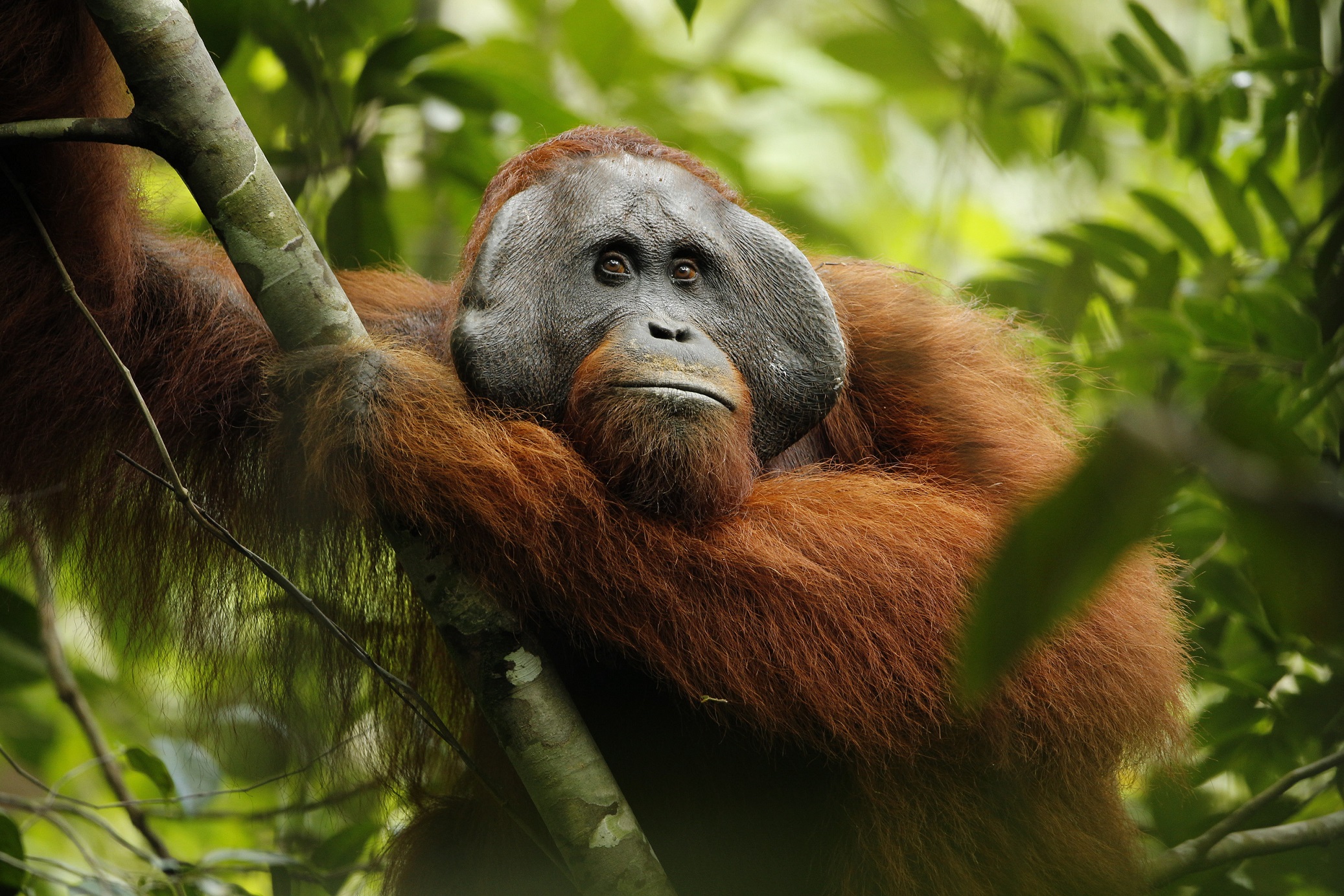 Wendi Tamariska | Whitley Award 2019