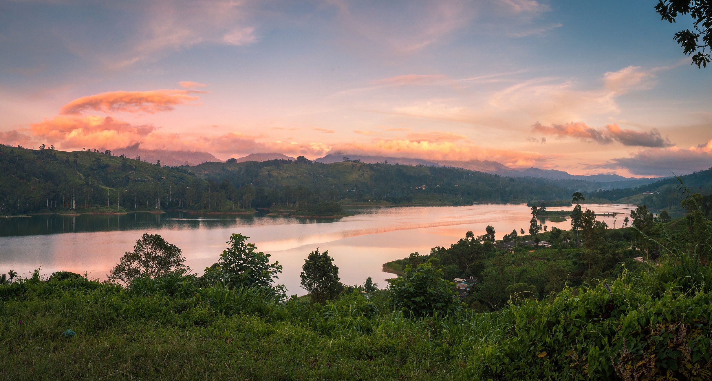 WFN Backs the Global Deal for Nature | Whitley Award