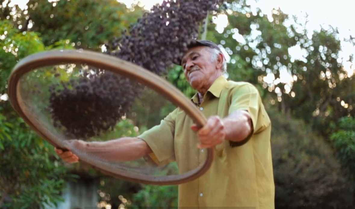 Watch the trailer for the Whitley Awards 2021: Live | Whitley Award