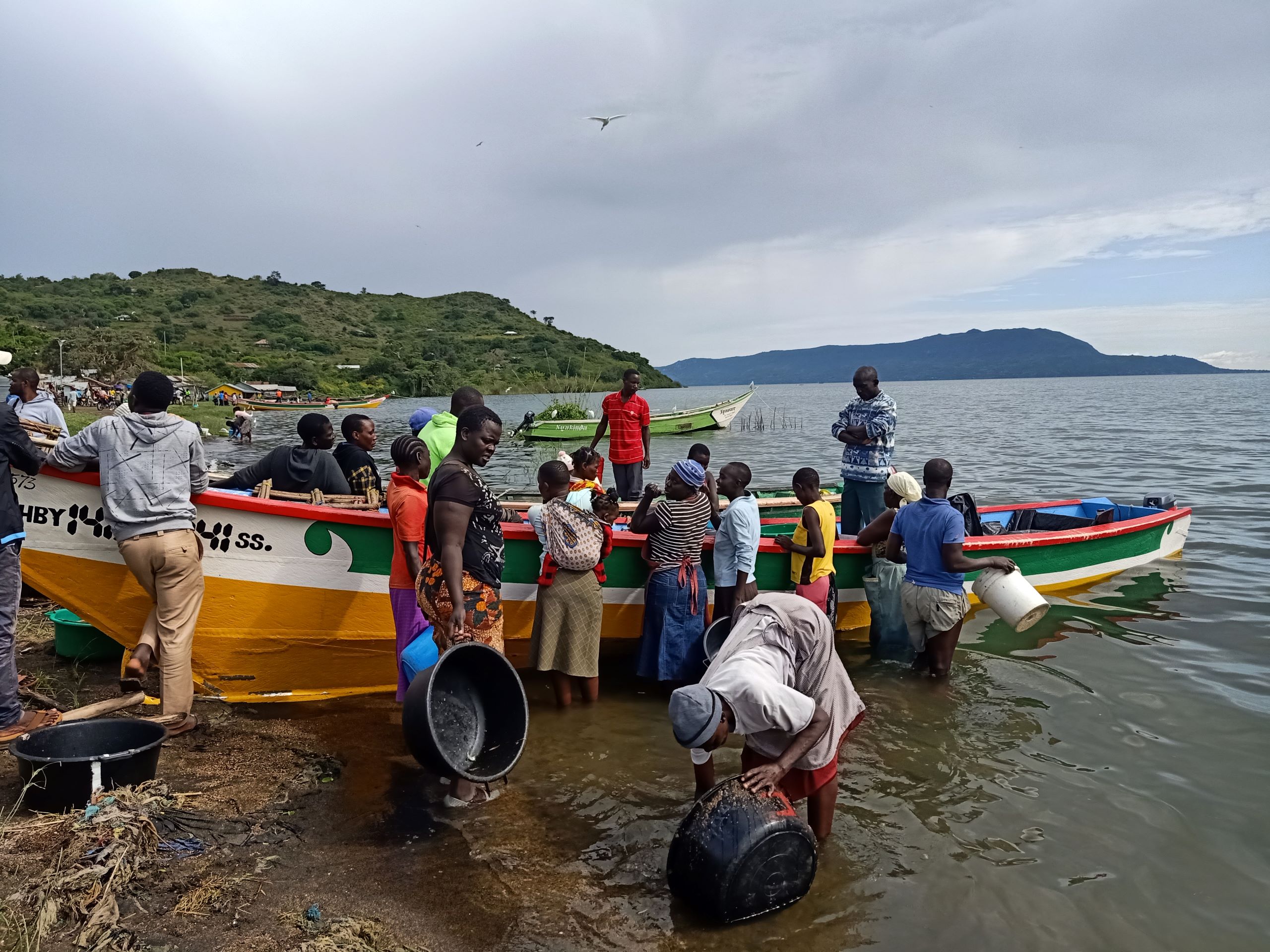 Community stewards: Securing a future for freshwater fish in Lake ...