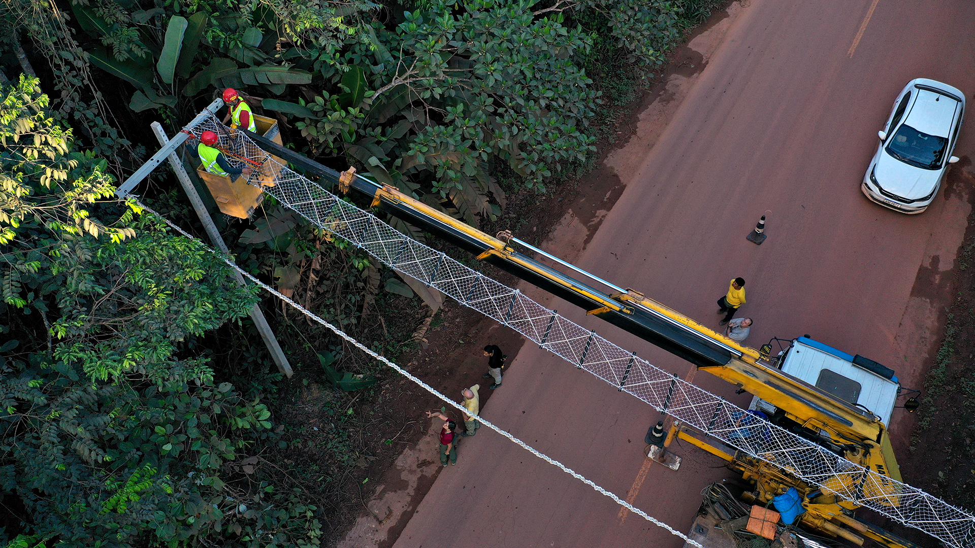 Building bridges: Primate canopy crossings in the Amazon | Whitley Award