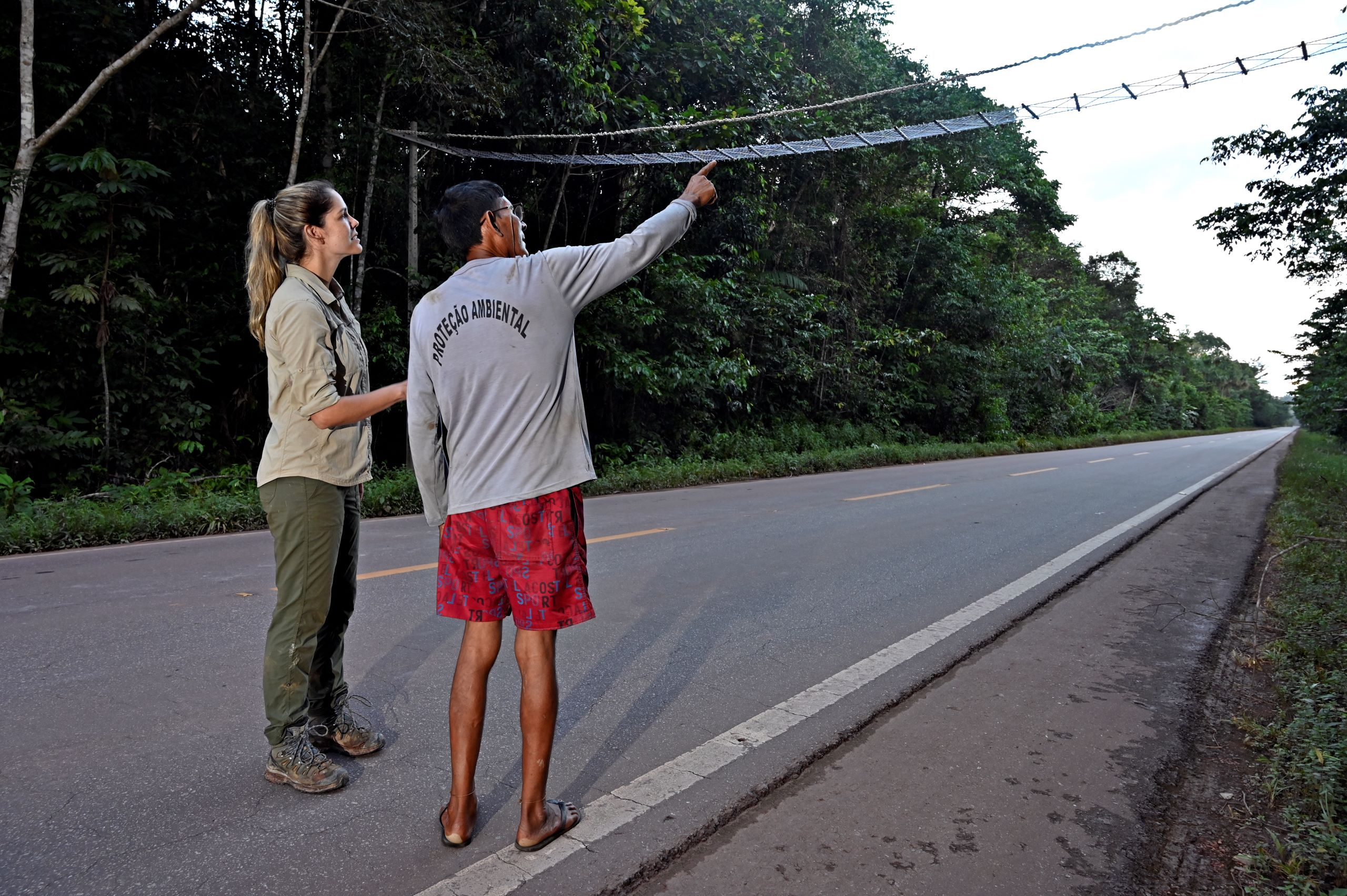 Brazil’s Fernanda Abra Wins 2024 Whitley Award for Road-crossing Canopy ...