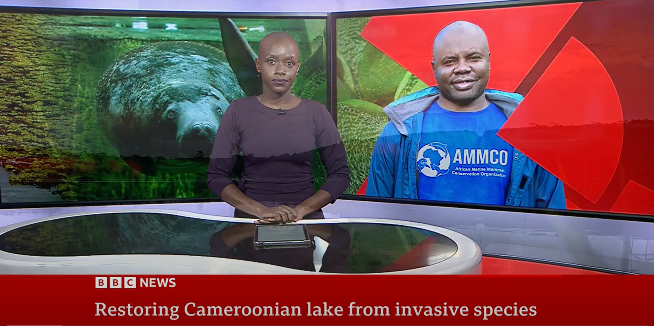 Dr Aristide Takoukam Kamla speaks to BBC Focus on Africa | Whitley Award