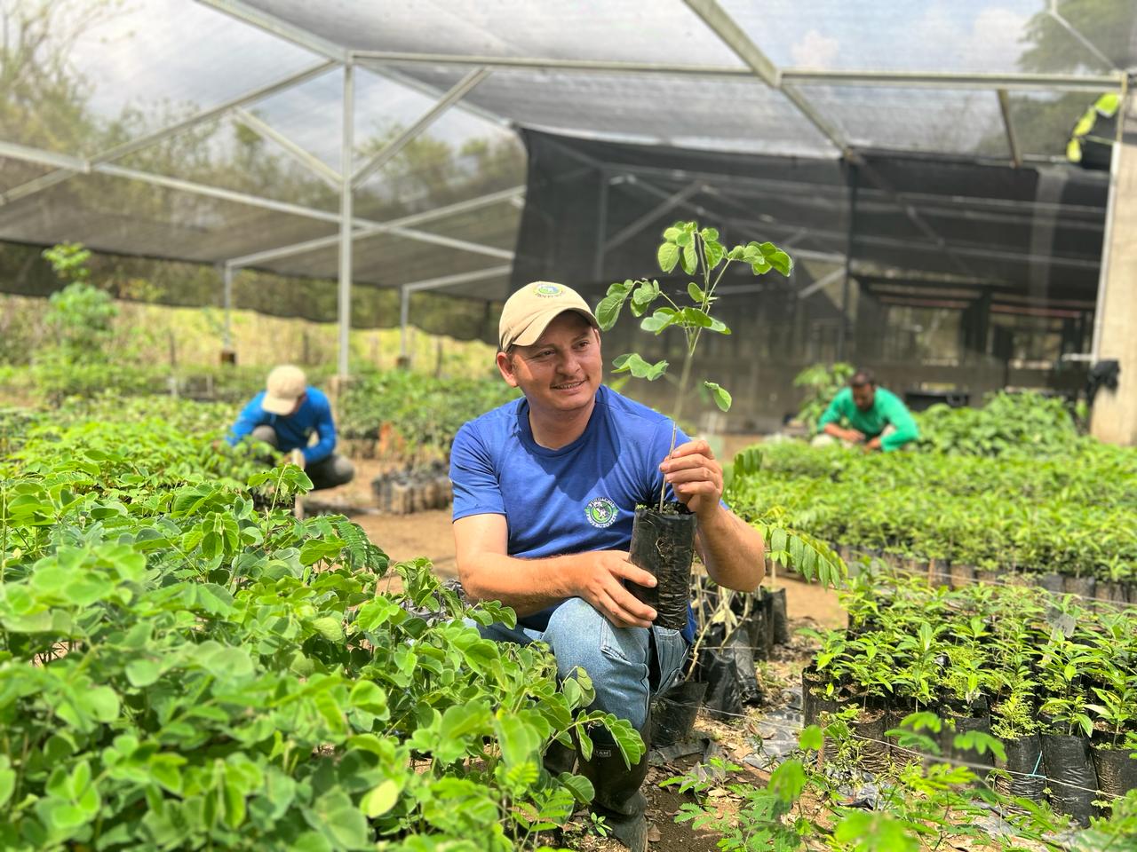 Over £1.3 million awarded in WFN Continuation Funding | Whitley Award